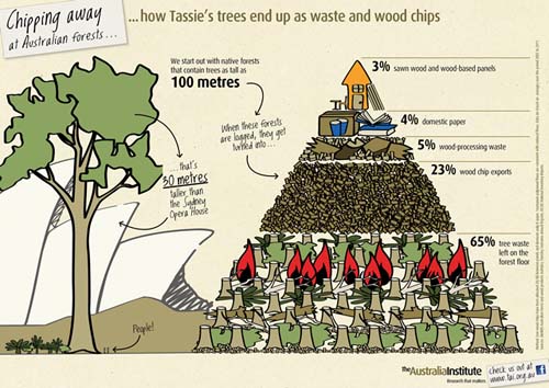 Logging - a WASTE of forests - Environment East Gippsland