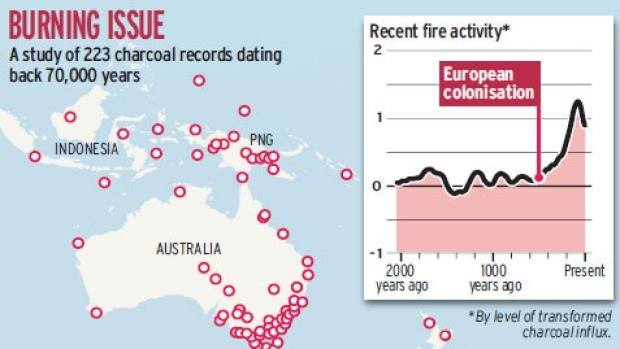 Cold water is poured on Aboriginal burnoff culture - Environment East ...