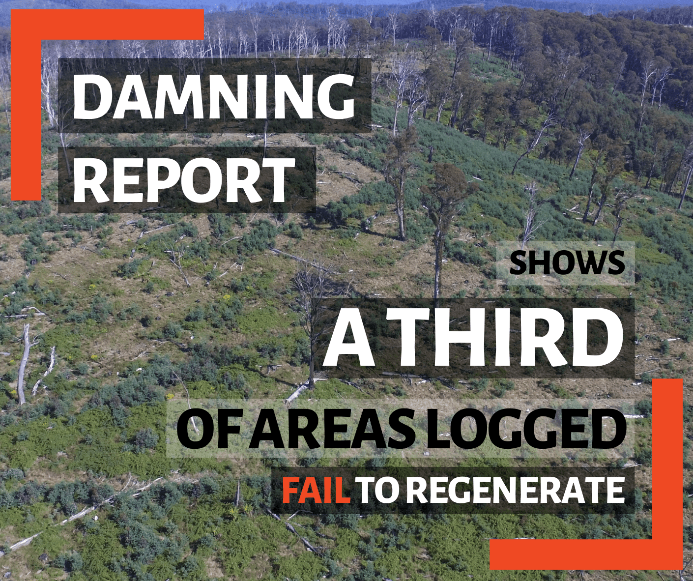 Will the Government restore once healthy forests? - Environment East ...