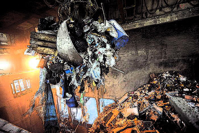 Something smelly in the air ﻿ - Environment East Gippsland